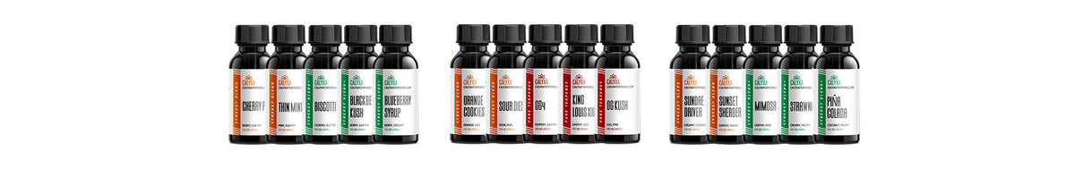 Calyxa Terpenes Sample Packs